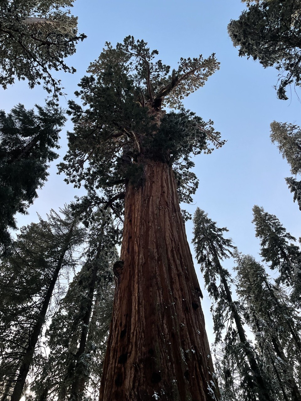 Norman Posselt (@normanposselt@mastodon.social) - Mastodon